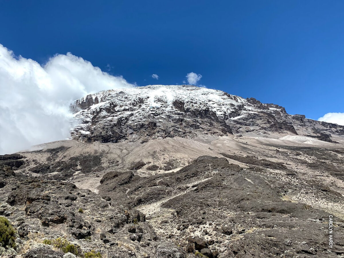 What to Expect in Kilimanjaro’s Alpine Desert | Thomson Treks
