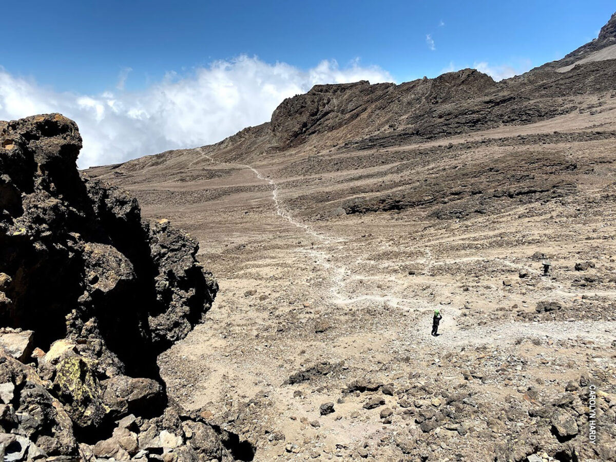 What to Expect in Kilimanjaro’s Alpine Desert | Thomson Treks